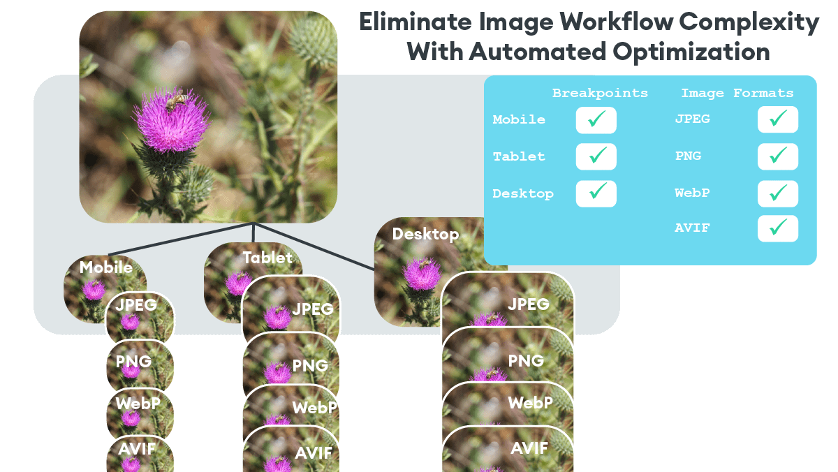 How Many Image Variants Are Needed For Responsive Images? – ImageEngine